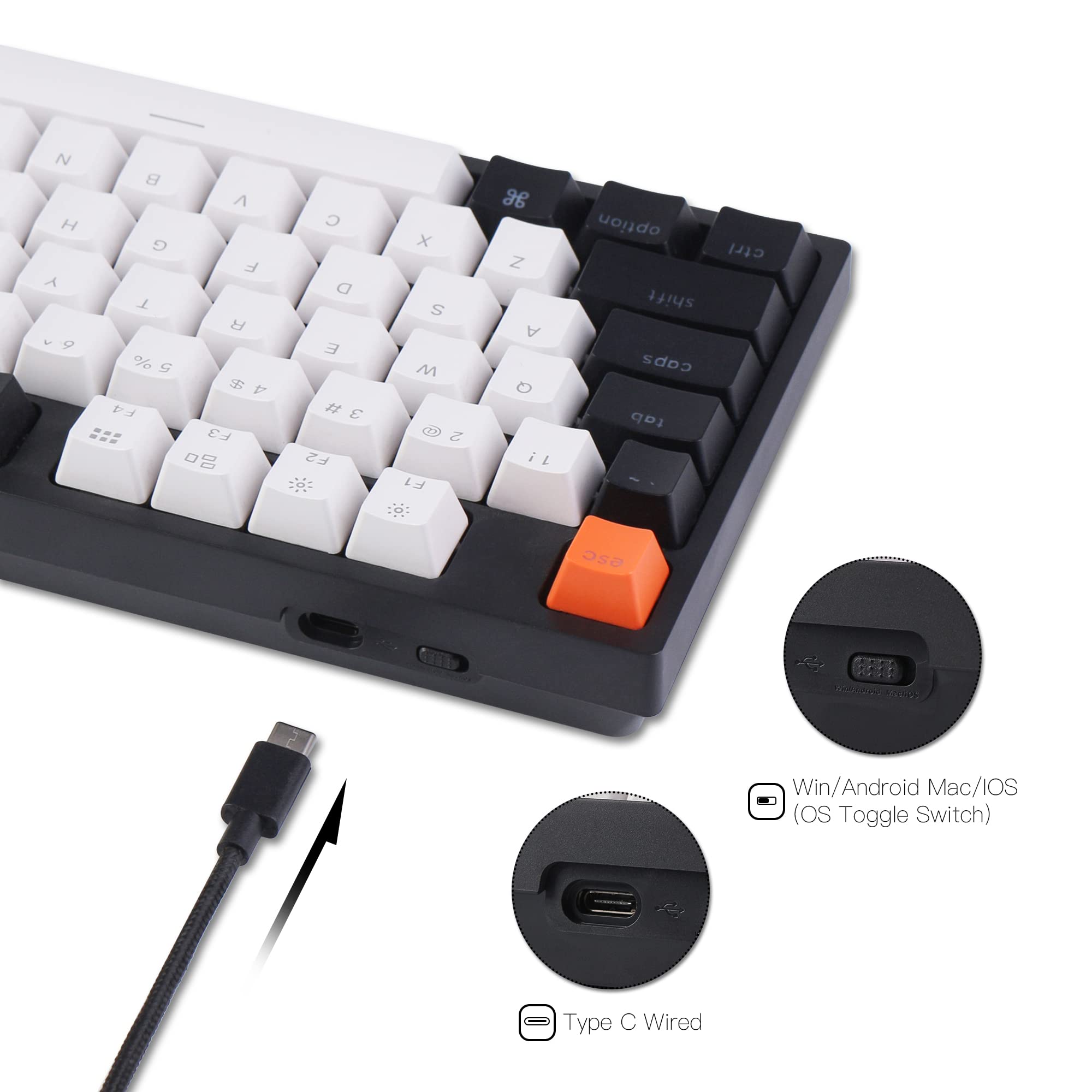 Keychron C1 Hot-swappable Wired Mechanical Computer Keyboard with Gateron G Pro Brown Switch/Double-Shot ABS Keycaps/White Backlight/USB Type-C Cable, Tenkeyless 87 Keys for Mac Windows PC
