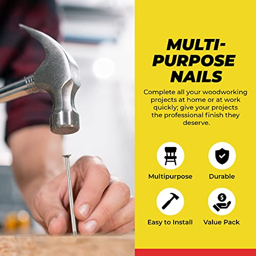 Qualihome Hardware Nail Assortment Kit, Includes Finish, Wire, Common, Brad and Picture Hanging Nails