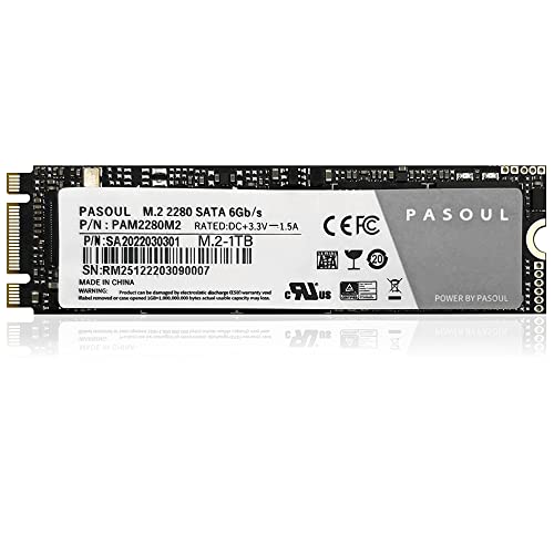 PASOUL SSD 1TB SATA M.2 2280 6GB/s Compliant 3D TLC Max Read 530MB/s Write 500MB PAM2280M2-1T