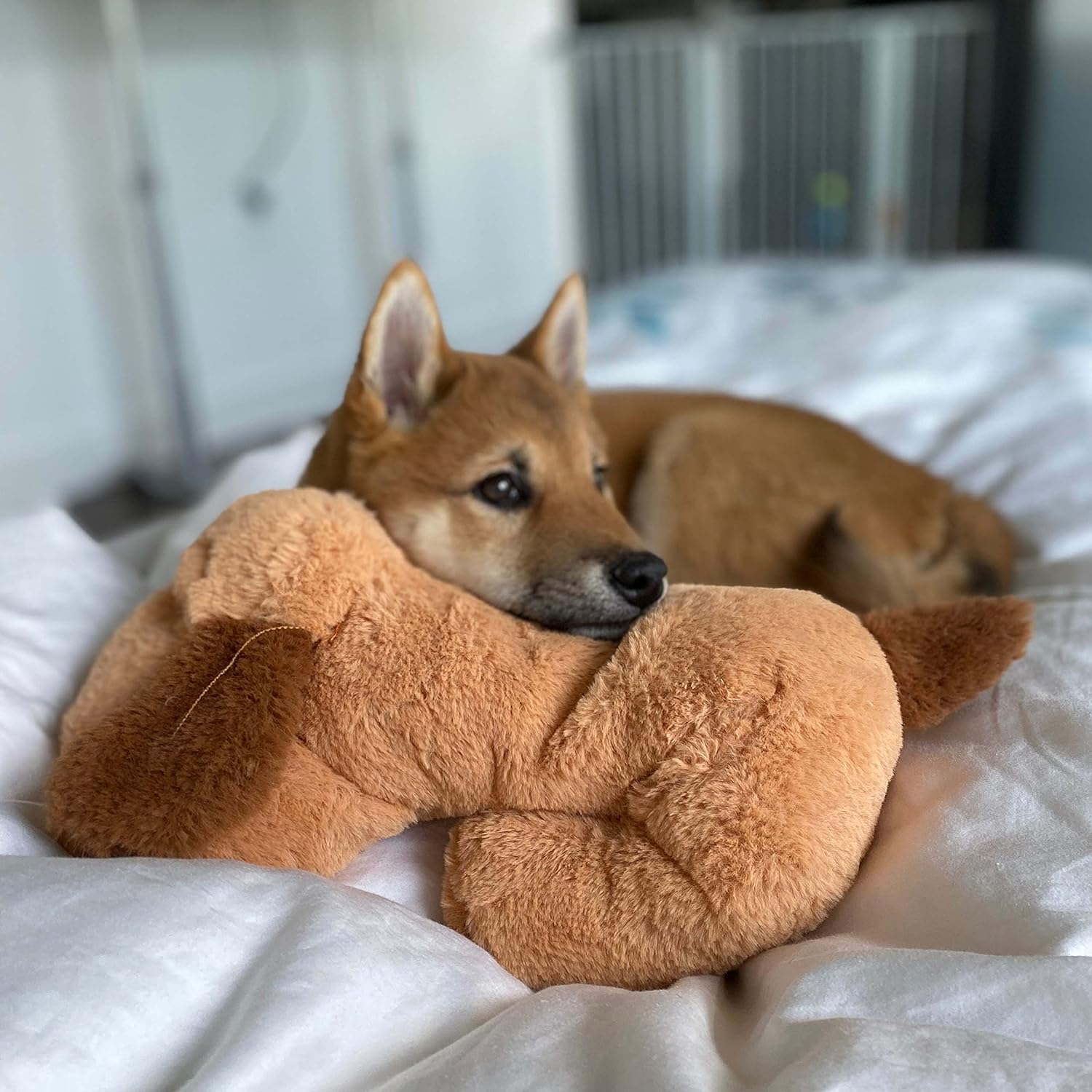 Snuggle Puppy Original Heartbeat Stuffed Toy for Dogs, Pet Anxiety Relief and Calming Aid Bundle with Puppy Bites, Day Calm, 60 Count Calming Chews for New & Stressful Situations.