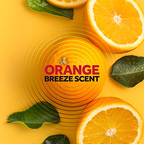Raid Flying Insect Killer, Kills Flies, Mosquitoes, and Other Flying Insects on Contact, For Indoor and Outdoor Use, Orange Breeze Scent, 20 oz (Pack of 12)