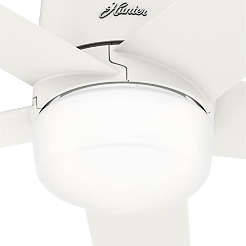 Hunter Fan Company 51197 Stylus Ceiling Fan, 52, Matte White