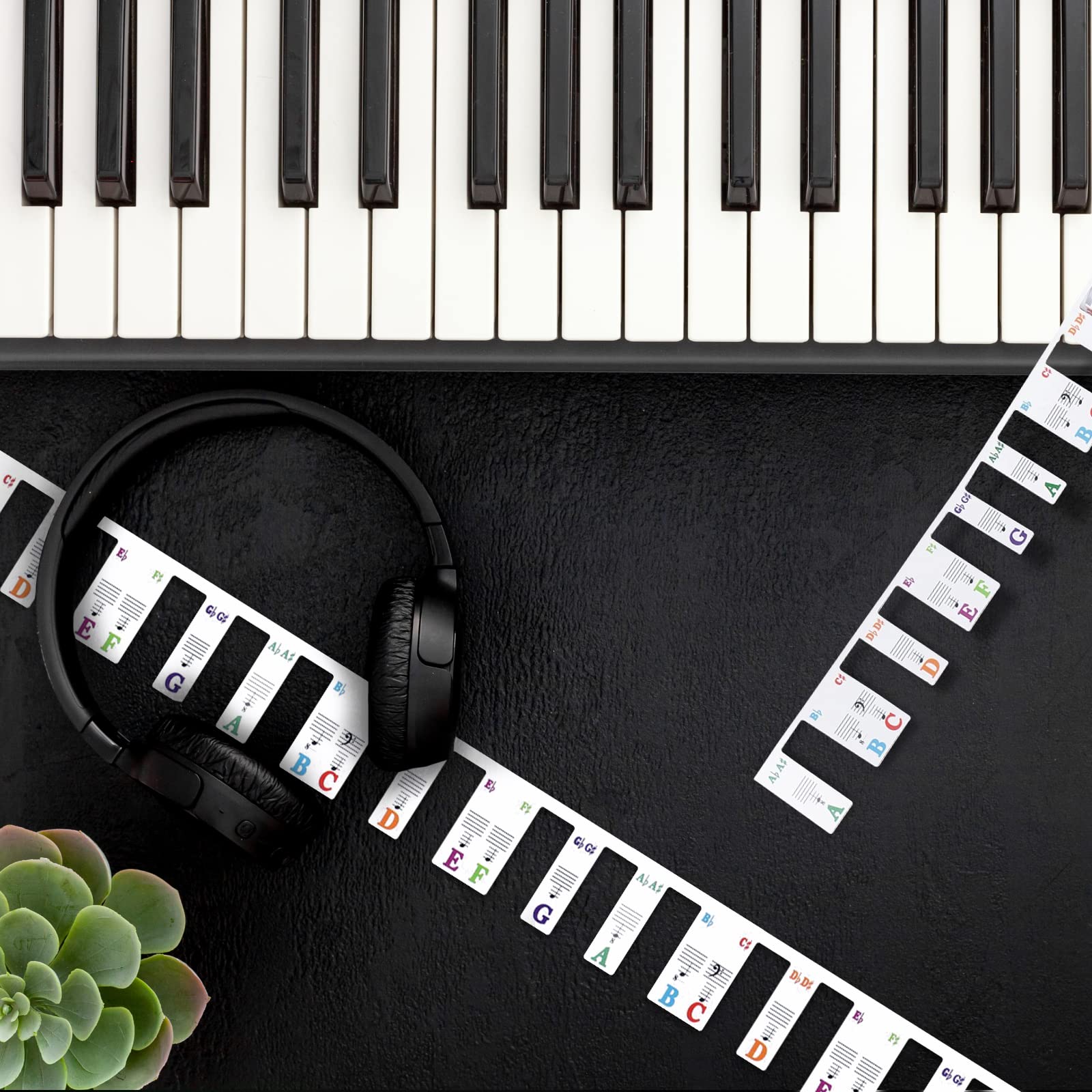 Piano Keyboard Stickers for 88/61/54/49/37 Key, Piano Rake Key Labels Overlay Removable for Beginners Kids, Multicolor (PVC)