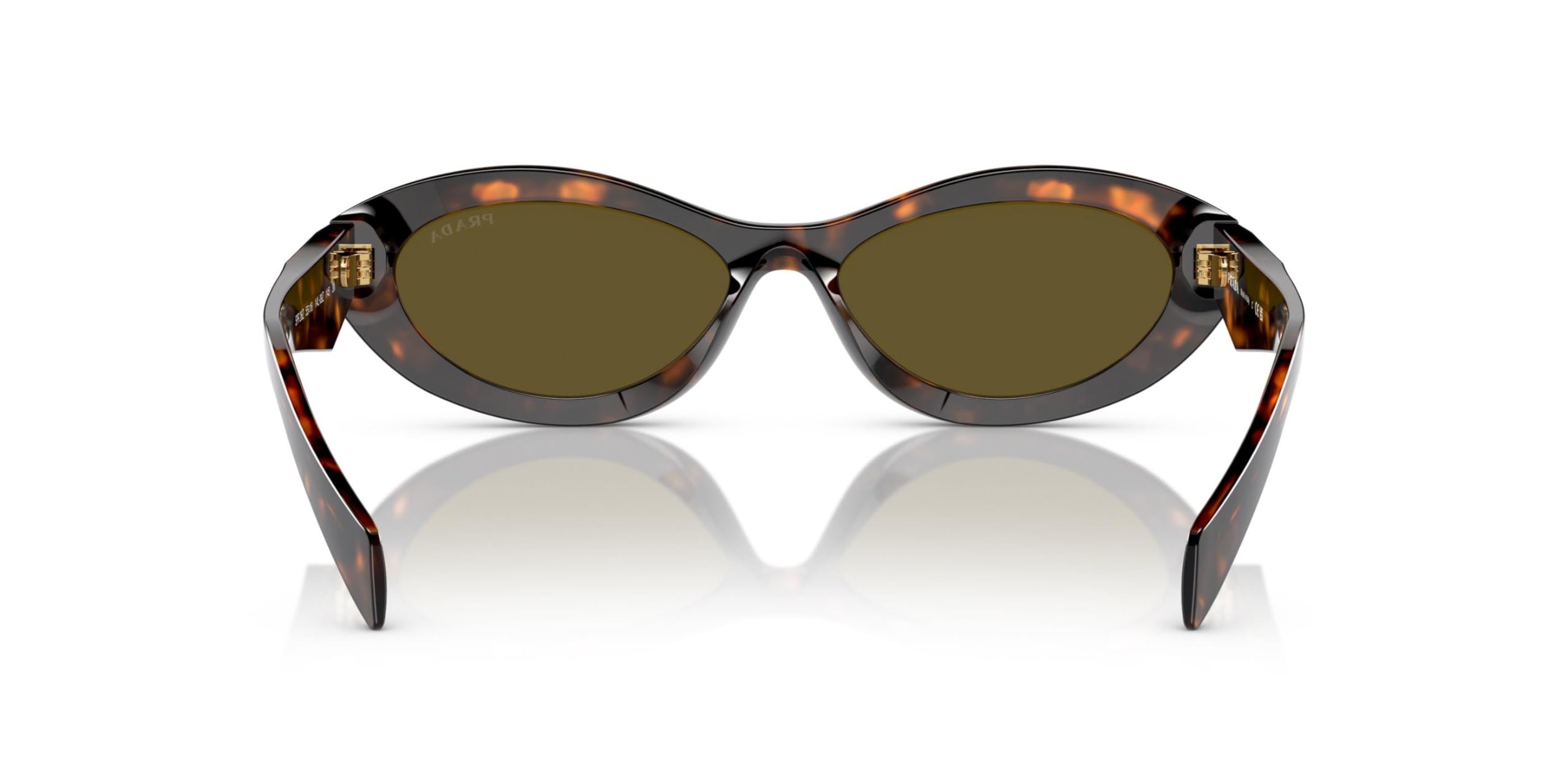Prada PR 26ZS Honey Tortoise/Dark Brown One Size