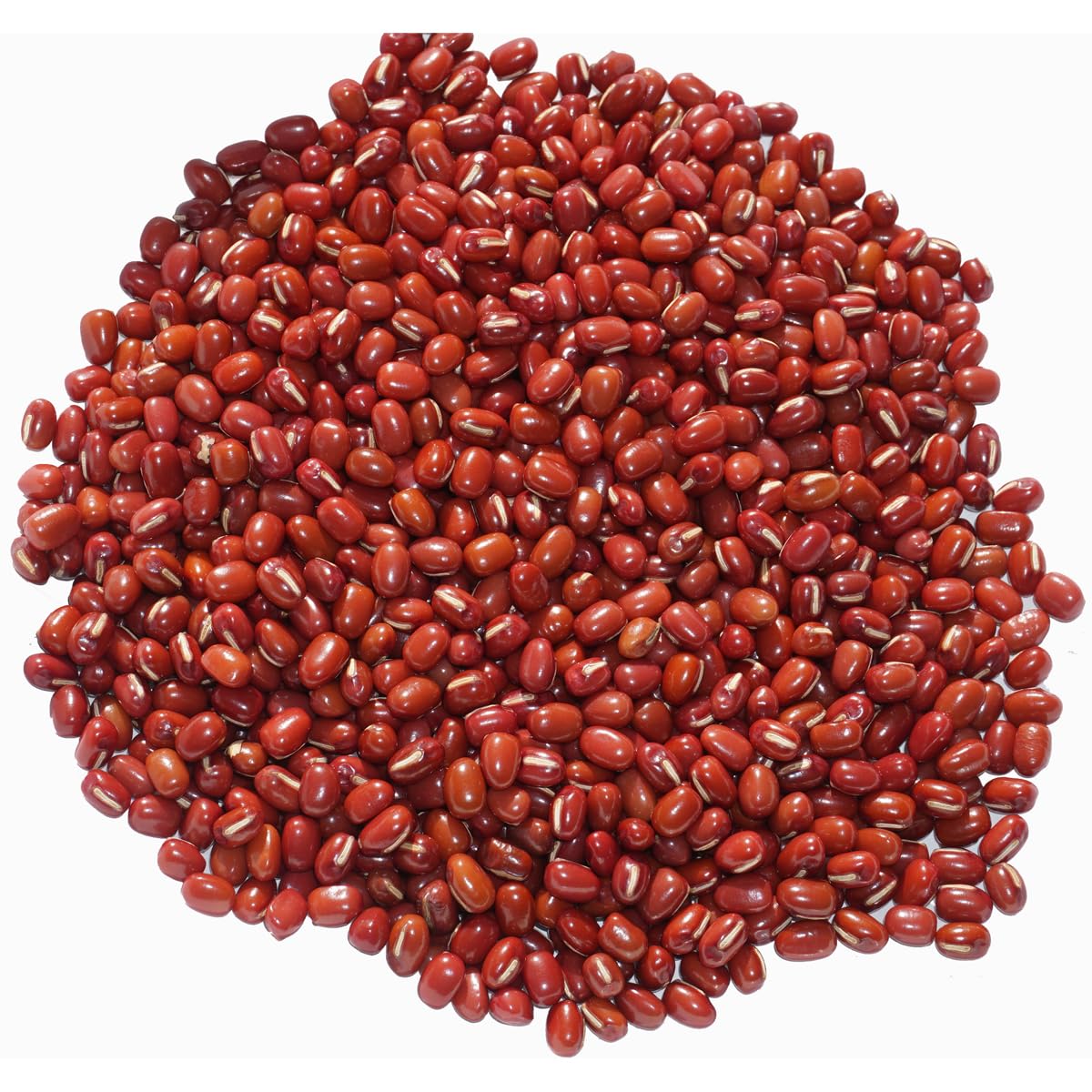 Hokkaido Toyomi Dainagon red beans 1kg Dainagon Dainagon azuki bean red bean red bean ä§