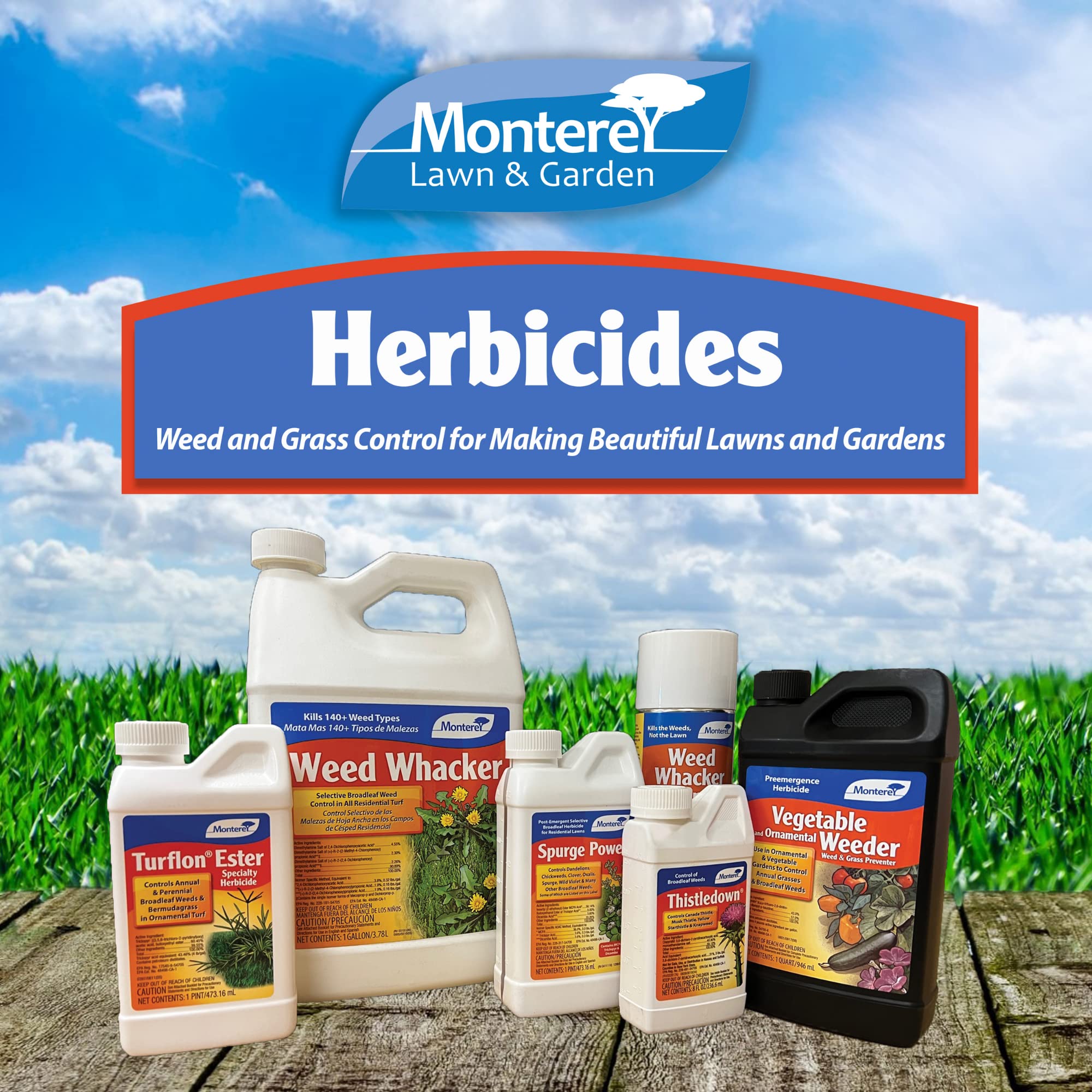 Monterey LG5482 Thistledown Weed Killer Thistle and Clover Control Concentrate, 8 oz