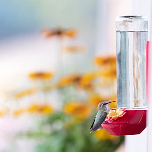 Perky-Pet 455-2 Mounted 445-2 Glass Window Hummingbird Feeder, Red β 14 oz