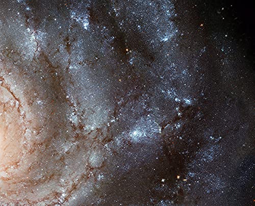 Miller Engineering Pinwheel Galaxy Disc for Homestar Flux Home Planetarium, (HS-35)