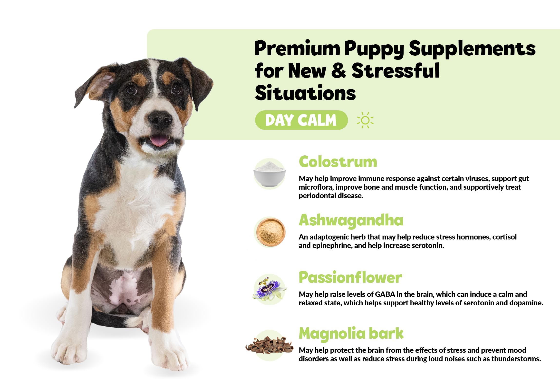 Snuggle Puppy Original Heartbeat Stuffed Toy for Dogs, Pet Anxiety Relief and Calming Aid Bundle with Puppy Bites, Day Calm, 60 Count Calming Chews for New & Stressful Situations.