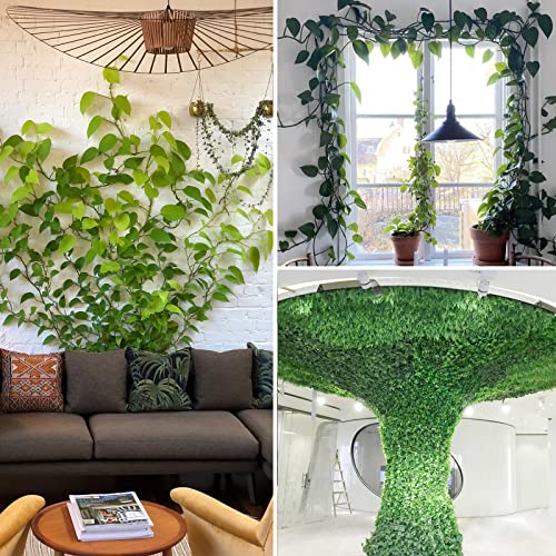 Plant Fixture Clips for Wall Climbing Plants Vines, 50 PCS Snail Shape Invisible Climbing Plant Wall Clips for Indoor and Outdoor Plants Support and Decoration