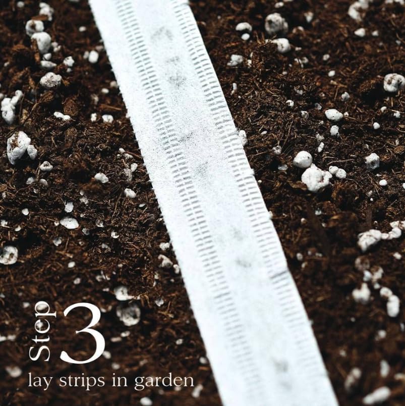 Park Seed Romance Hybrid Carrot Seed Tape, Easy to Grow, 2 Packs of 15 Foot Seed Tape