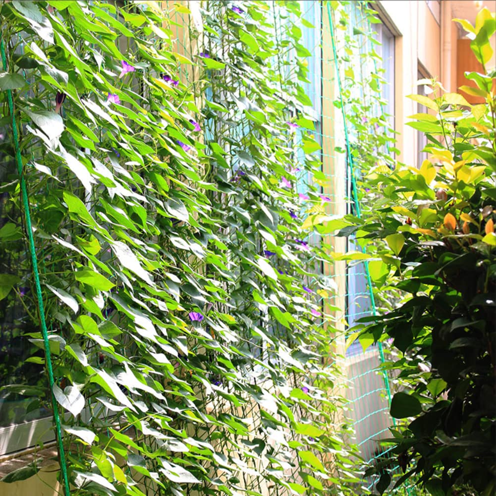Plant Trellis Netting for Climbing Plants Outdoor Heavy Duty Plastic Garden Trellis Netting 27 Strands Plant Climbing Net Strong Support for Clematis, Cucumber,Tomatoes and Vine Plants (5.9x5.9FT)