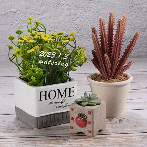 PATIKIL Acrylic Plant Tag, 6 Pack Reusable Rectangle Garden Herb Name Label for Outdoor Patio Flower Grass Bonsai Potting, Transparent