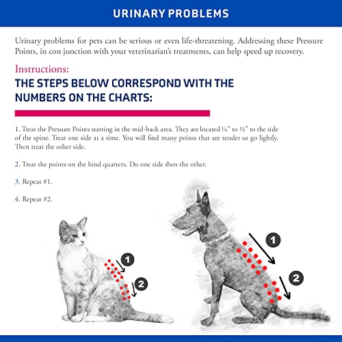 Pressure Point Therapy for Pets Kit: The Complete Do-It-Yourself (at Home Treatment Manual) Includes Book and Chart Pack for on-The-go
