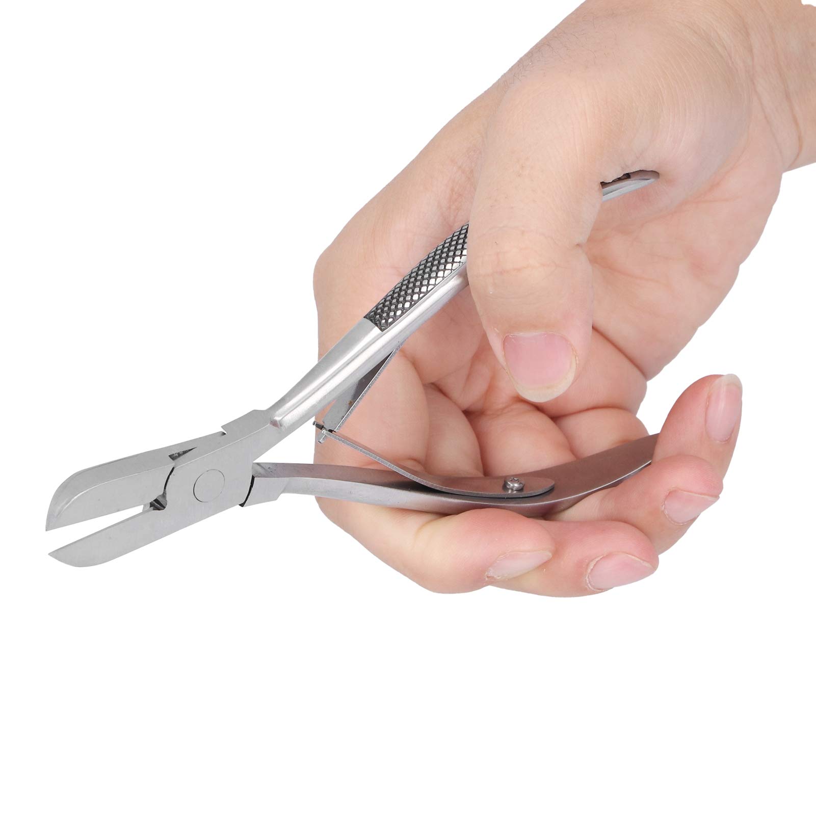 plplaaoo Stainless Steel Straight Head Piglet Teeth Cutter, Pig Tooth Nipper, Piglets Teeth Clipper, Pig Tooth Scissor Piglet Clipper Forceps, Pig Tooth Nipper Piglet Teeth Cutter Piglets Tooth pl