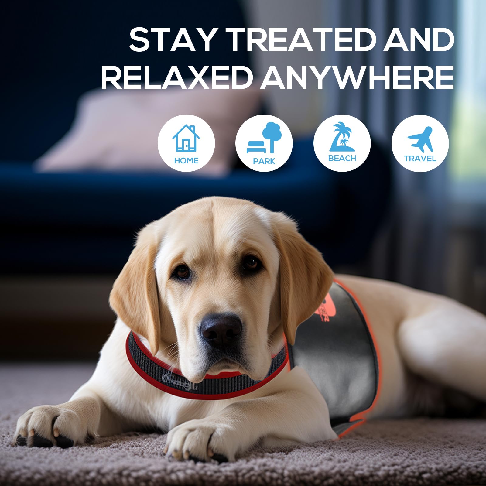 Vicmama Red Light Therapy Belt for Pets,Portable Wearable Red Light Therapy Device for Dogs Pain Relief Tissue Repair Muscle & Joint Pain