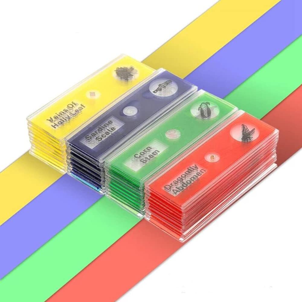 RIIPOO Prepared Microscope Slides for Kids, Biological Microscope Specimens Slides with Plants Flowers Insects Animals, 48PCS