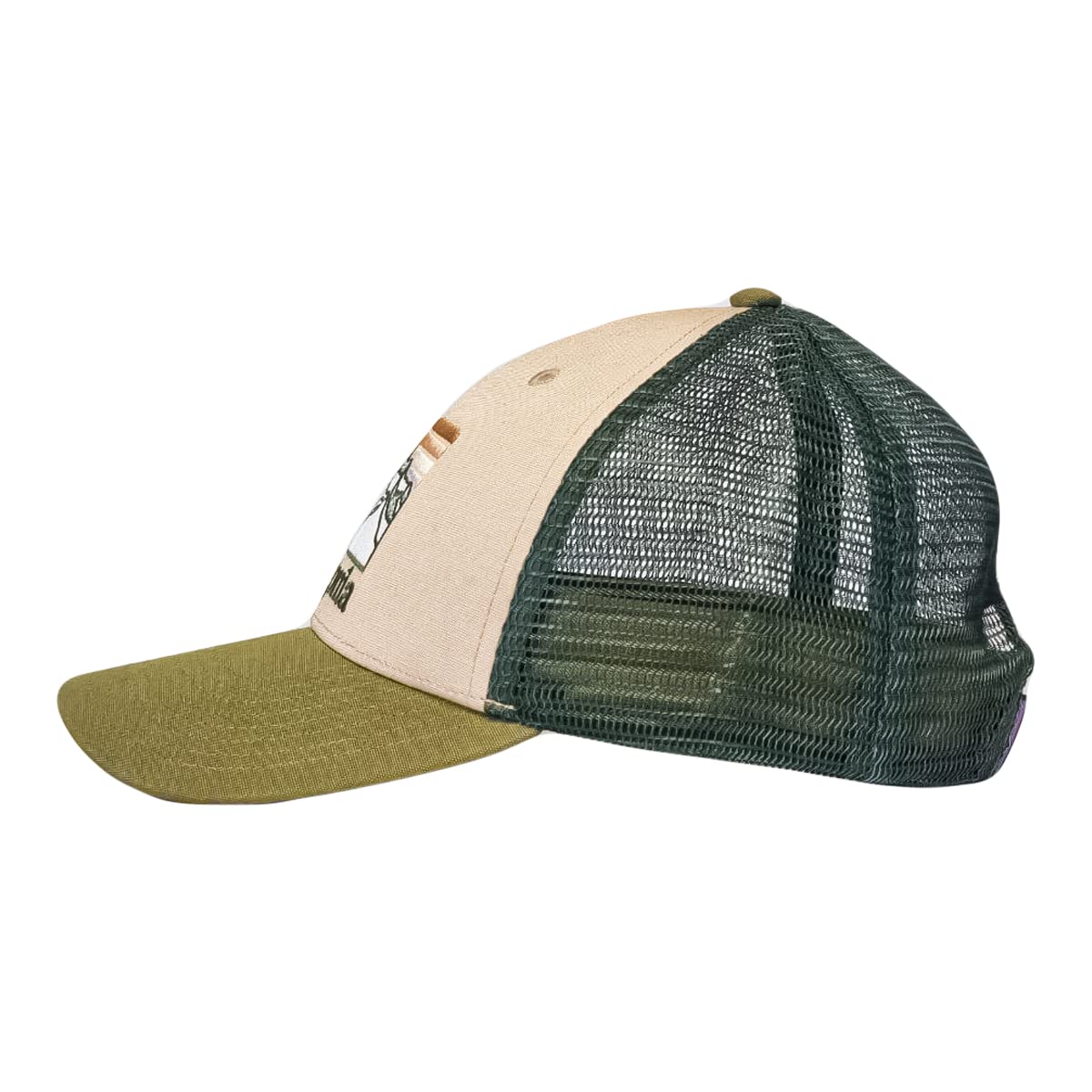 Patagonia Line Logo Ridge LoPro Trucker Hat (Qartan)