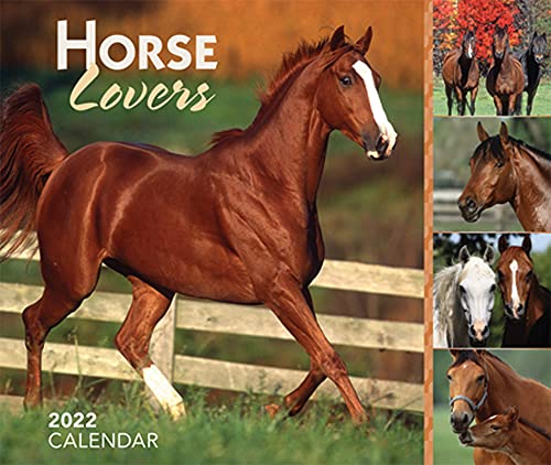 Horse Lovers 2022 6.125 x 5.125 Inch Daily Desktop Box Calendar, Animals Horses Equestrian