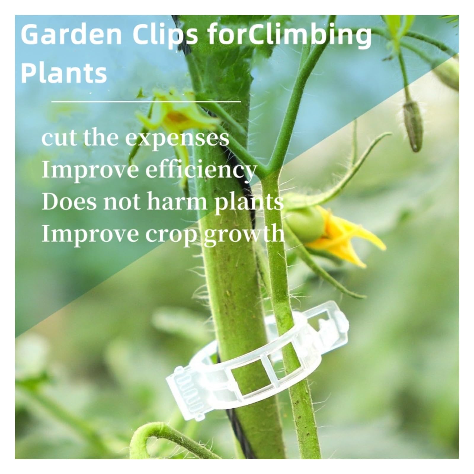 Secured Plastic Plant Clip, 2024 Upgrade Plant Support Clips, Garden Clips for Climbing Plants, Tomato Clips, Plastic Trellis Clips Plant Support Clips,Plastic Trellis Clips Plant Support Clips Grape