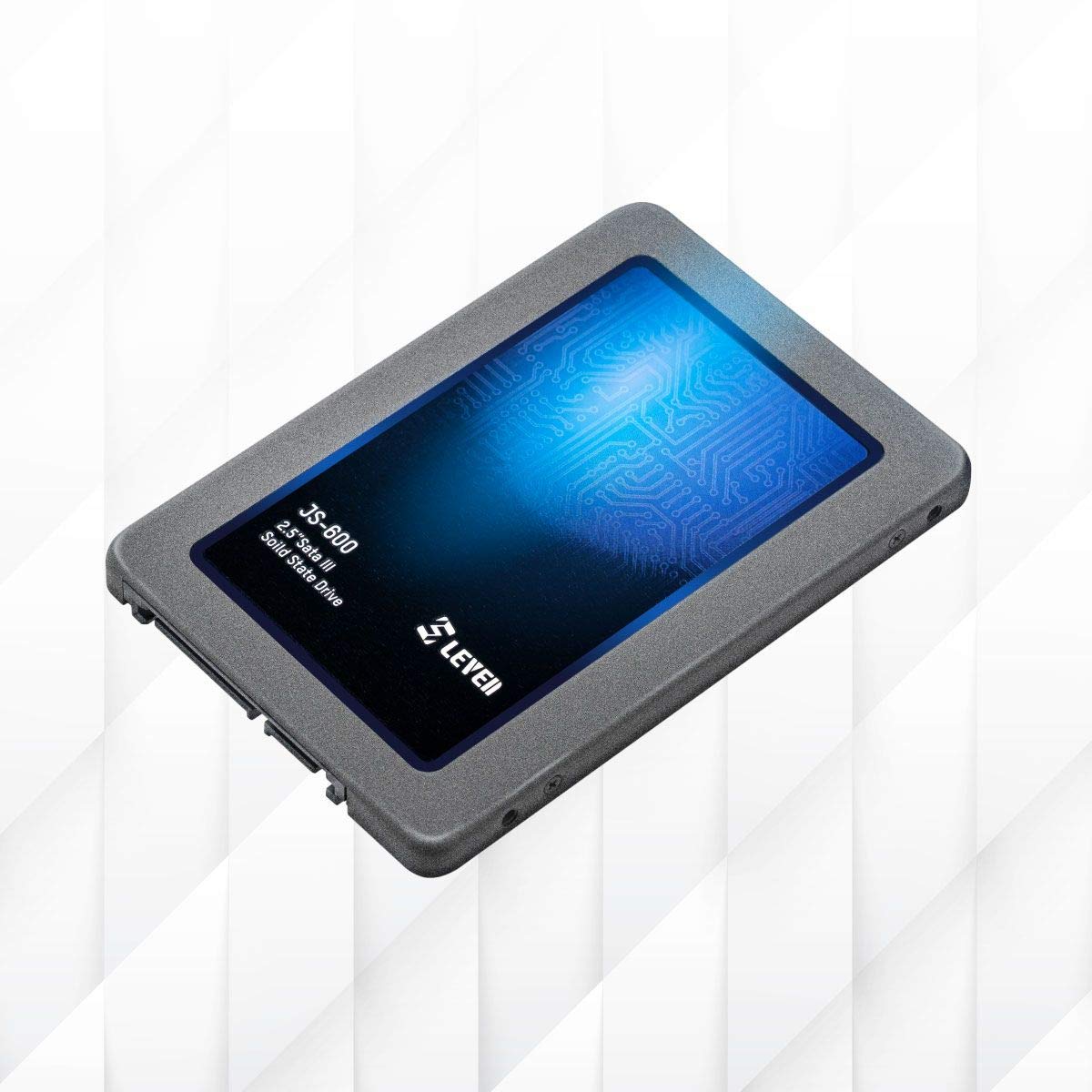 LEVEN JS600 SSD 256GB (Retail 10 Pack) - up to 550MB/s - 3D NAND SATA III Internal Solid State Drive