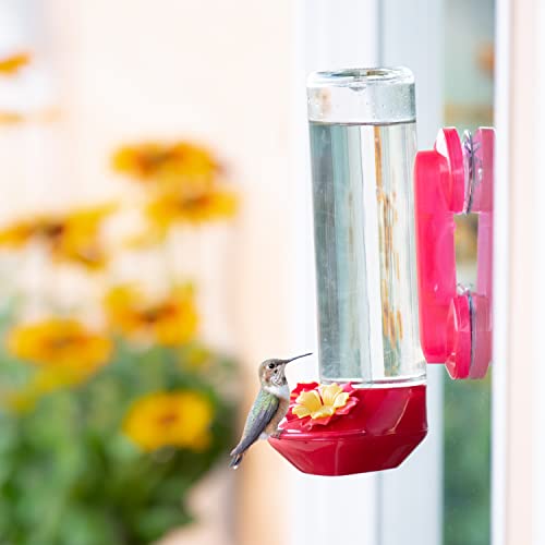 Perky-Pet 455-2 Mounted 445-2 Glass Window Hummingbird Feeder, Red β 14 oz