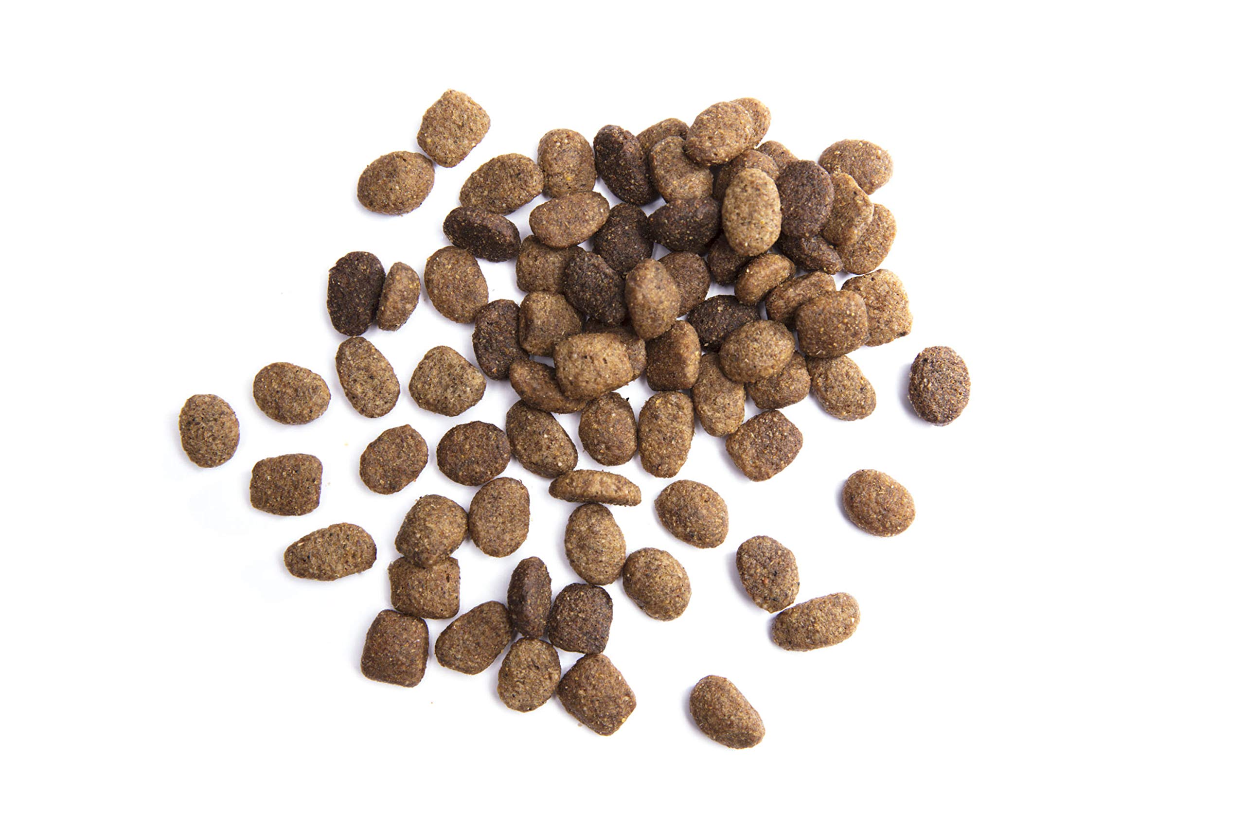 Iams+Large+Breed+Puppy+Dog+Food