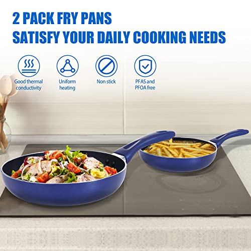 Nolopau Nonstick Frying Pan, Aluminum Non Stick Fry Pans for Cooking Eggs Omelettes and More, 8" and 10.4" Cooking Surface Non Stick Skillet Pan Nonstick Cookware