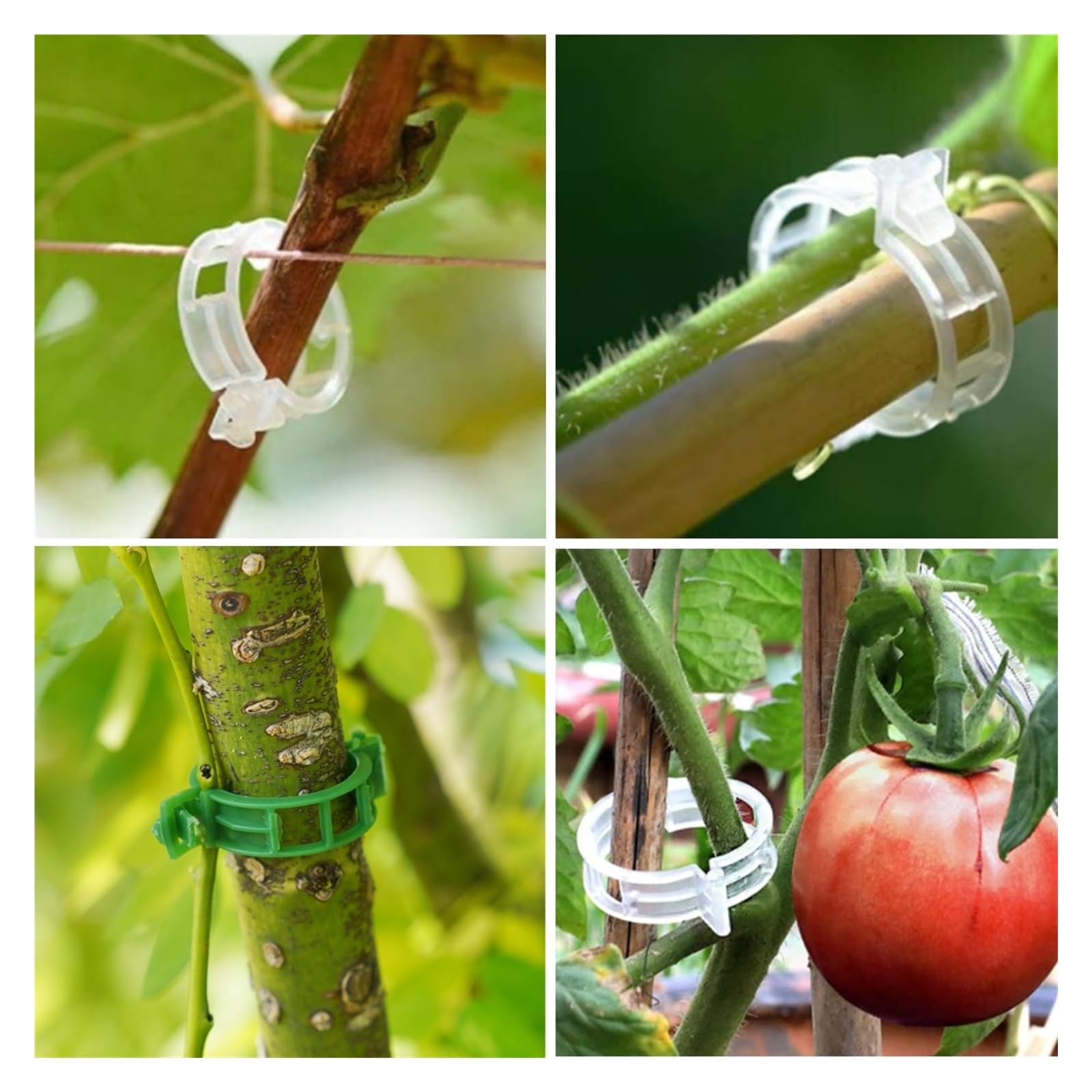 Secured Plastic Plant Clip, 2024 Upgrade Plant Support Clips, Garden Clips for Climbing Plants, Tomato Clips, Plastic Trellis Clips Plant Support Clips,Plastic Trellis Clips Plant Support Clips Grape