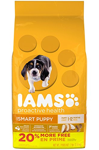 Iams Proactive Health Smart Dry Dog Food (7-lb Bag)