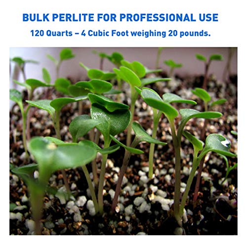 PVP Industries PVP105408 120 Quarts β 4 Cubic Foot of Organic Perlite Planting Soil Additive Gi, White
