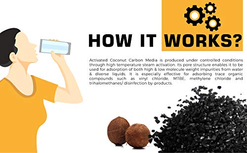 Premier Whole House Salt-Free Water Softener/Conditioner 20 GPM and Backwash Carbon Filtration System w/KDF55