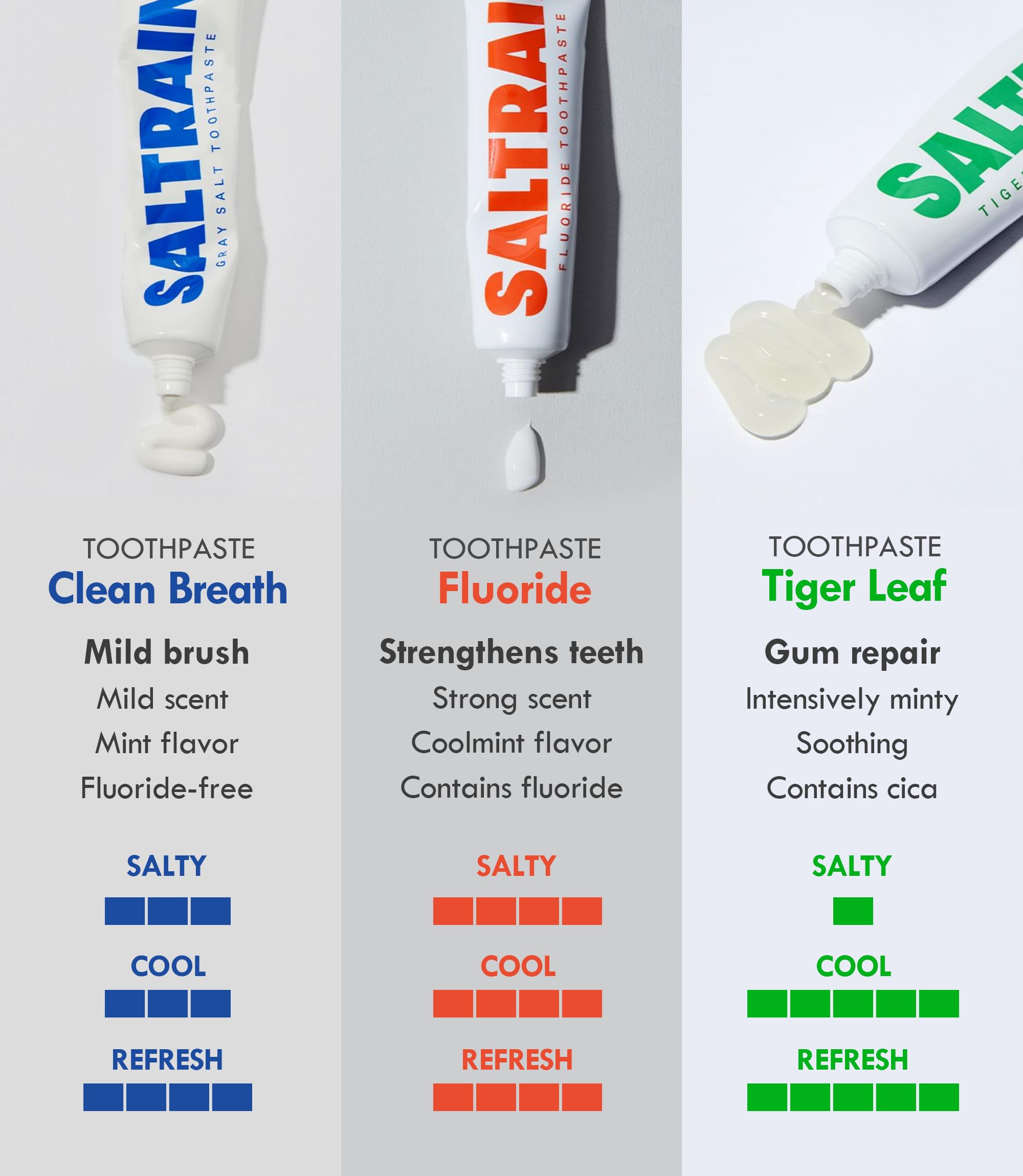 SALTRAIN Clean Breath Toothpaste with Gray Salt | Natural Toothpaste for Fresh Breath, Zero Cavity and Resilient Gums | Mild Scent, No Fluoride & Mint Flavored Toothpaste (Pack of 1)