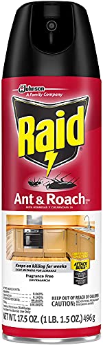 Raid Ant and Roach Killer, Fragrance Free, 17.5 OZ