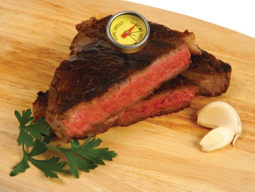 Norpro Mini Steak Thermometers, Set of 4, Silver