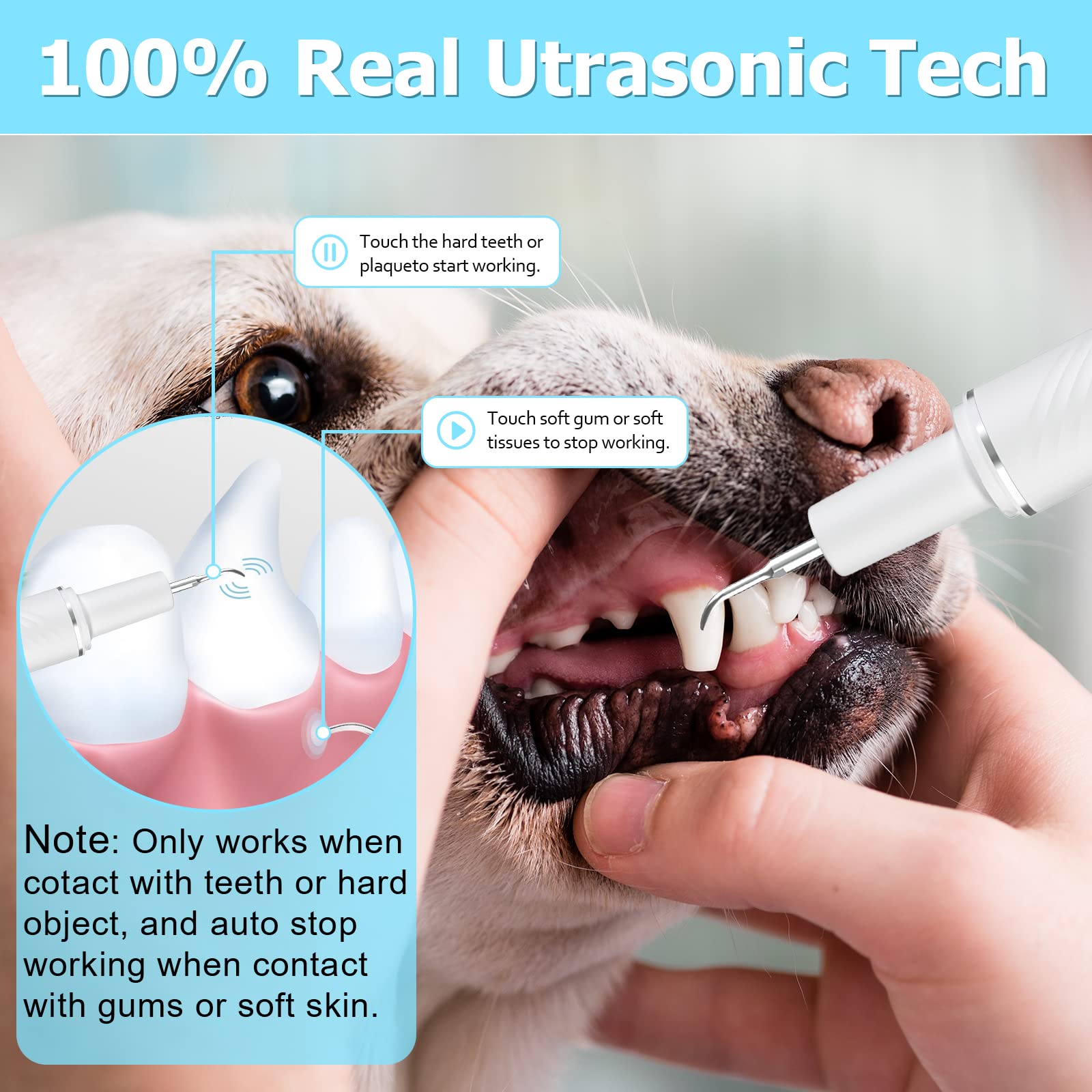 prabensei Pet Teeth Cleaning Kit with LED Light, 3 Replaceable Heads and Mouth Mirror, 3 Modes Dental Care Dog Teeth Cleaner, Home Whitening Tool