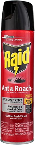 Raid Ant & Roach Killer Outdoor Fresh Cans 12 oz. (Pack of 3)