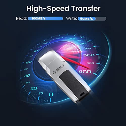 ORICO USB 3.2 Flash Drive 256GB, Memory Stick 256GB 100 MB/s Reading Thumb Drive with Keychain USB Flash Drive Metal USB Drive Data Storage Compatible with Computer/Laptop(U3)