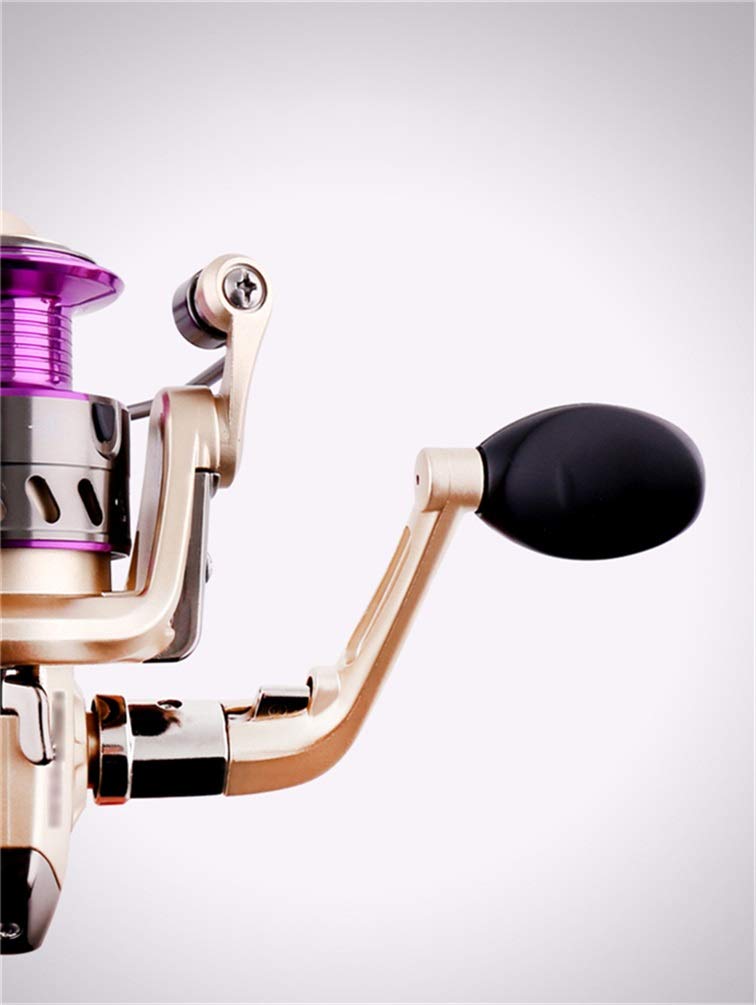 LLJPYX7L Spinning Fishing Reel for Salt Water and Fresh Water, Rocker Left/Right Hand Interchangeable, 6 Super Smooth Stainless Steel Bearings (Size : 5000)