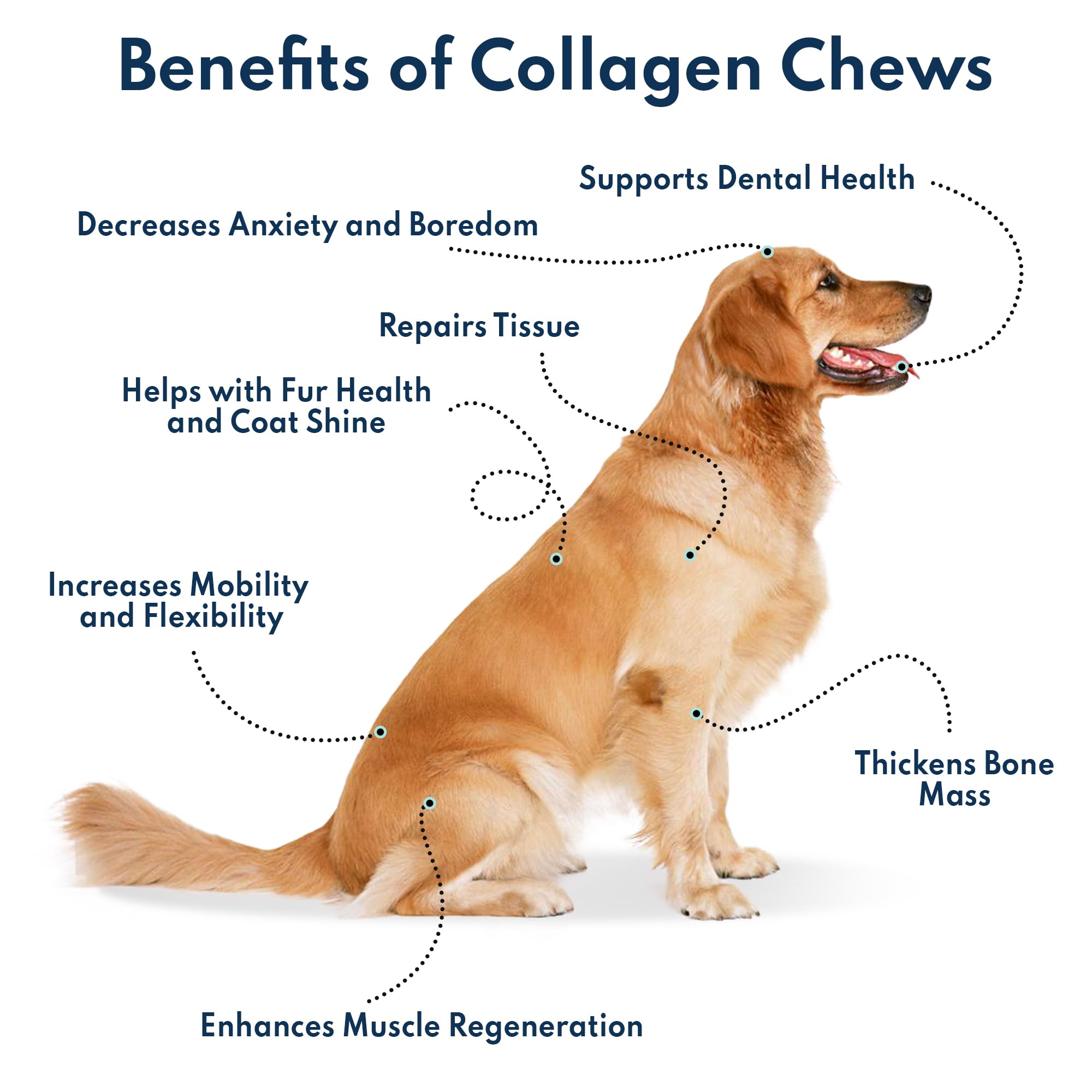 Scouts Essentials - 12β Premium Braided Collagen Chews 1 Pound 100% Natural Pure Grass-Fed Beef Single Source Treat Long Lasting Aggressive Dog Chewers Medium Large Dogs Muscle Growth