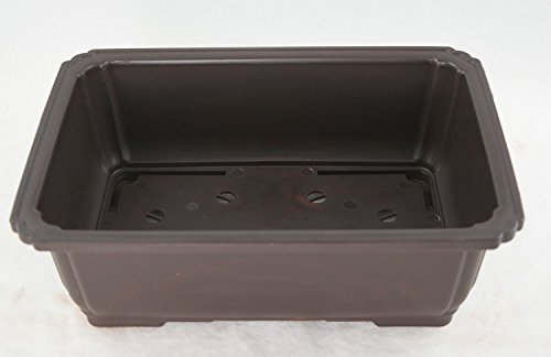 Rectangular Plastic Bonsai/Succulent Pot 10.5"x 7.75"x 3.5" - Dark Brown