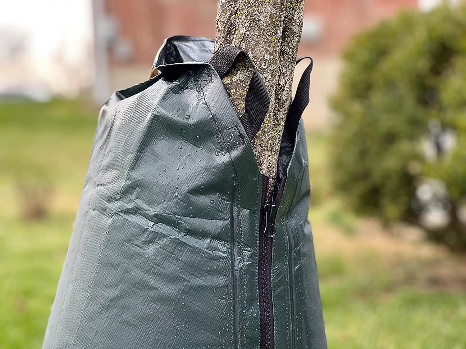 Sapling Saver Watering Bag 20 Gallon, 4-8 Hours Slow Release Drip Irrigation Bag for New or Matured Trees (5-Pack), Forest Green (ATHAF-SS5)