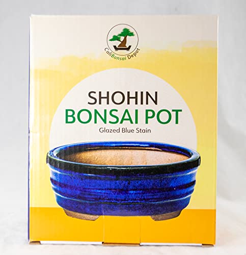 Oval Shohin Bonsai Pot, Cactus & Succulent Planter + Mesh 6"x 4.5"x 2.5" - Blue Stain Glazed