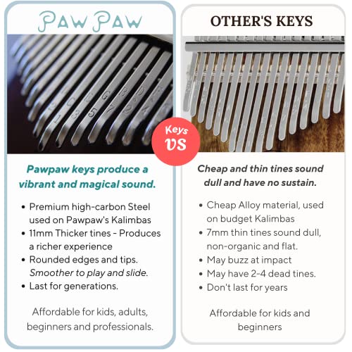PAWPAW Kalimba 17 Keys w/hard case - C-Shape Solid Zebrawood - Carbon-rich Steel Keys - Essentials & more included (Manual + 2x easy Learn & Song E-books)…