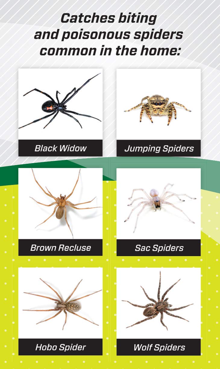 RESCUE! Spider Traps β Catches Brown Recluse, Hobo Spiders, Black Widows & Wolf Spiders - 4 Pack (12 Traps)