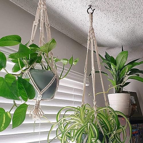 WaterLuu 12 Pcs String Light Hooks, Q Hanger Hooks with Safety Buckle for Ceilling Plants, Windproof Outdoor Light Hooks for Hanging Patio Lights, Christmas Lights & Plants 2.2 Inch