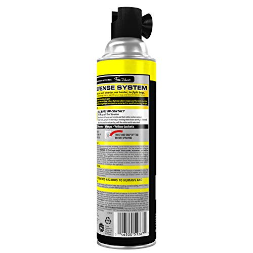Raid Wasp and Hornet Spray- 17.5 ounces - 3 Pack