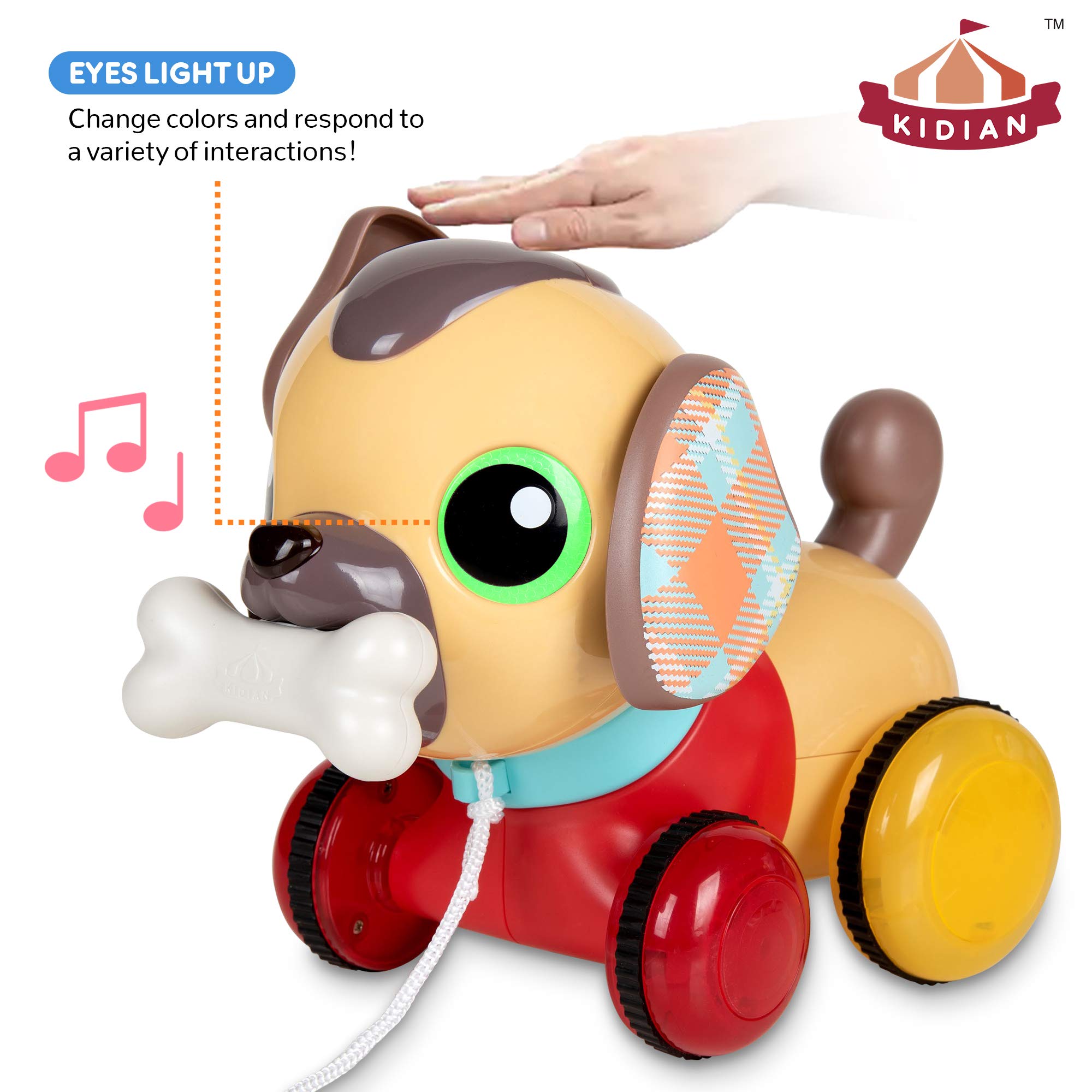 Kidian Toy Dog - Pull Along Dog Toy for Babies and Toddlers, Interactive Pull Along Puppy, Toy Dog for Kids by Flybar (Brown Puppy)