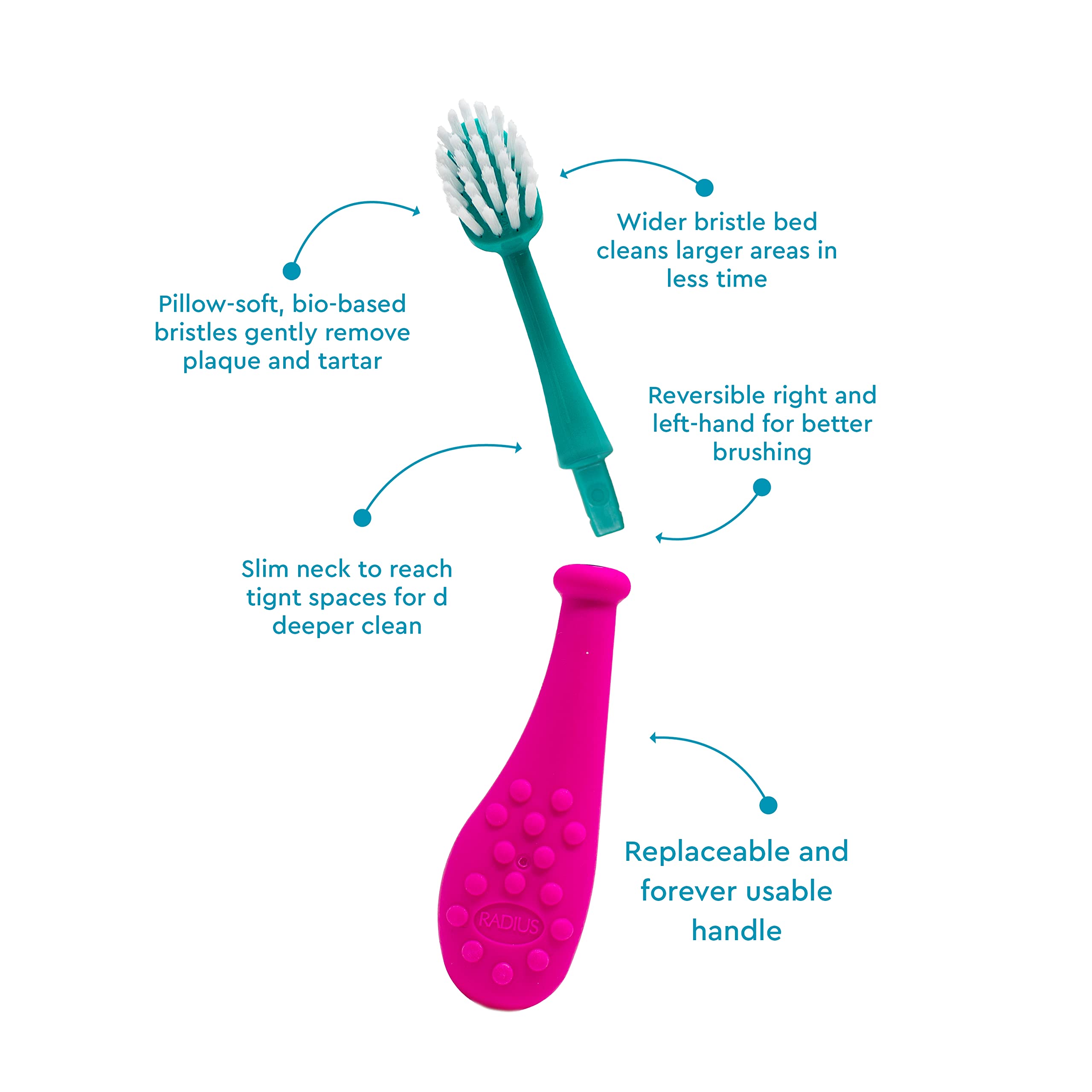 RADIUS Big Kidz Forever Brush Replaceable Head Toothbrush for Children, 6 Years and Up, BPA Free ADA Accepted for Growing Teeth and Gums - Right and Left Handed, Extra Soft - Pack of 1