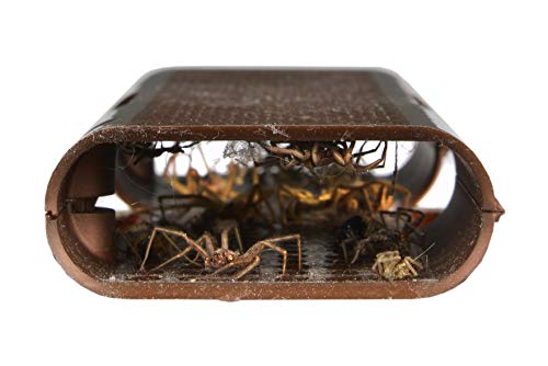 RESCUE! Spider Traps β Catches Brown Recluse, Hobo Spiders, Black Widows & Wolf Spiders - 3 Pack (9 Traps)